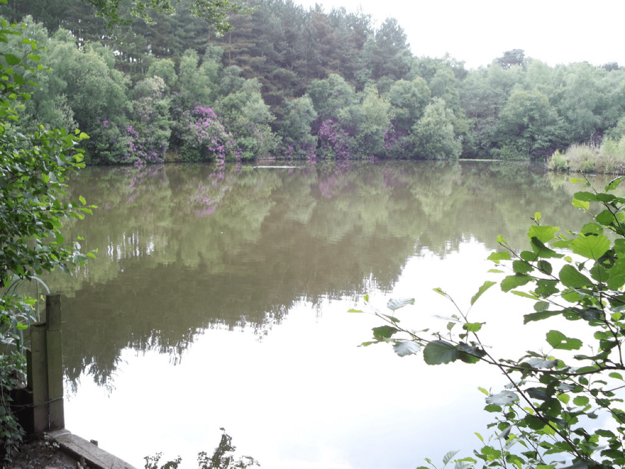 Foxhole - Horsham & District Angling Association