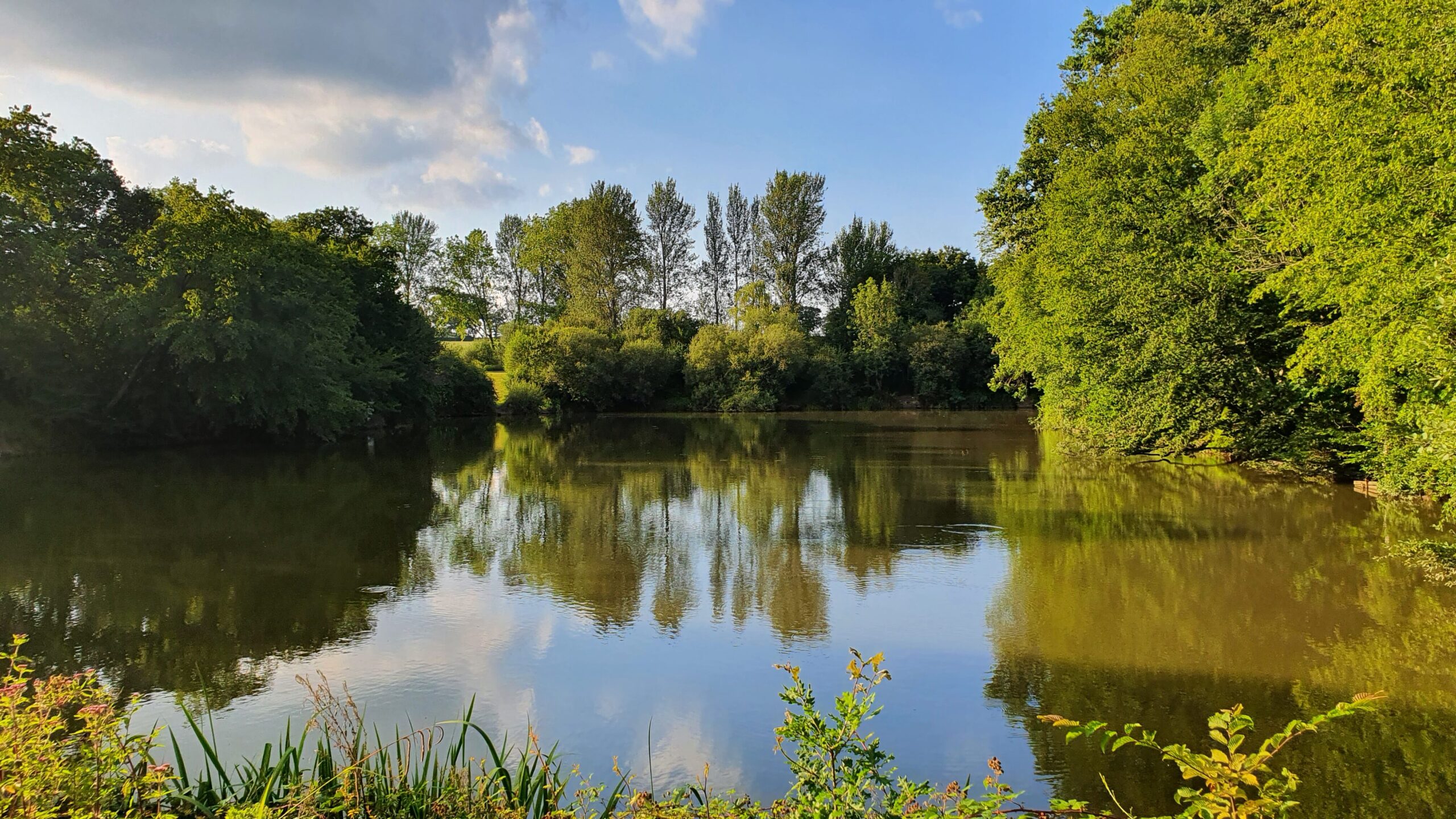 Billingshurst Match at BSA - Horsham & District Angling Association