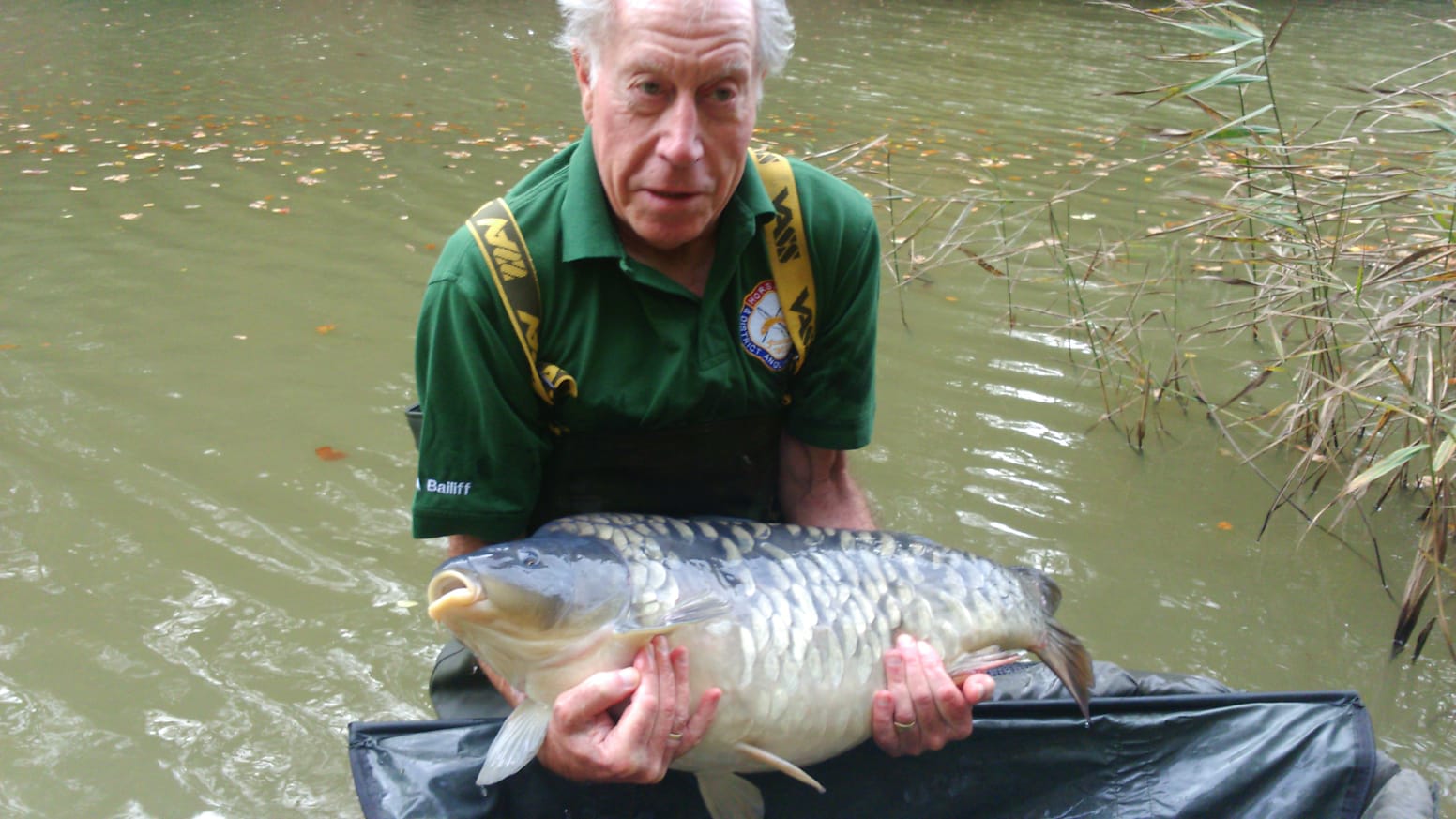 Specimen carp stocked at Roosthole - Horsham & District Angling Association