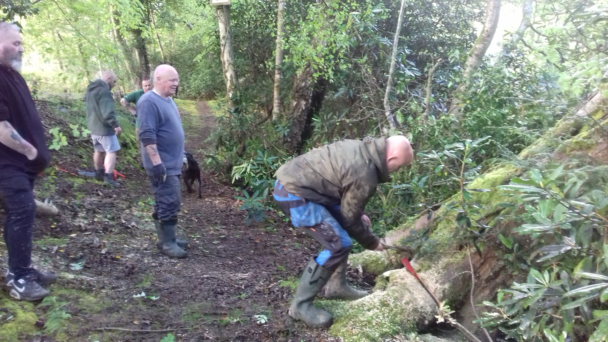 Work parties at Foxhole - Horsham & District Angling Association
