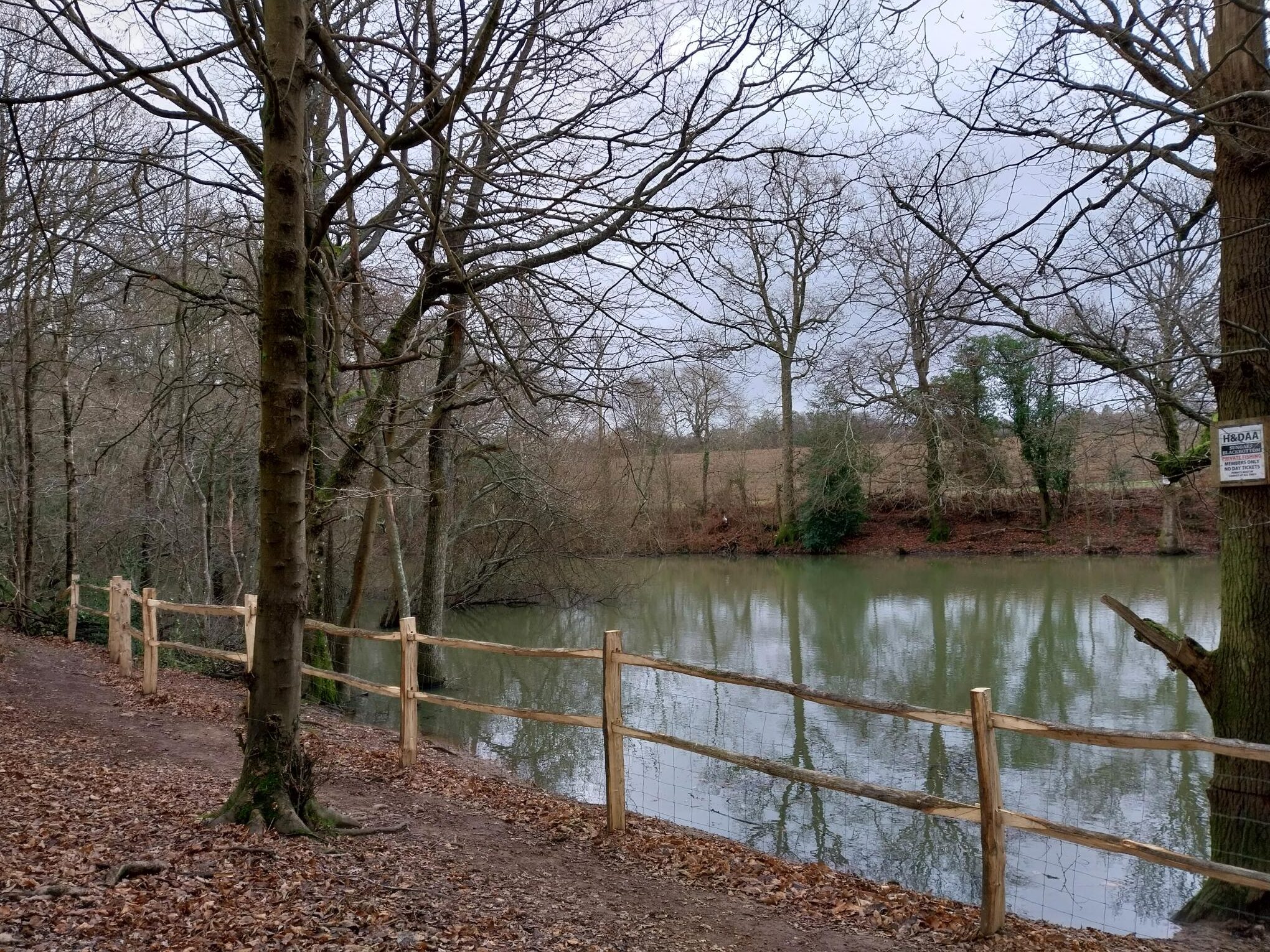 Projects update: Blackbottom and Roosthole - Horsham & District Angling ...