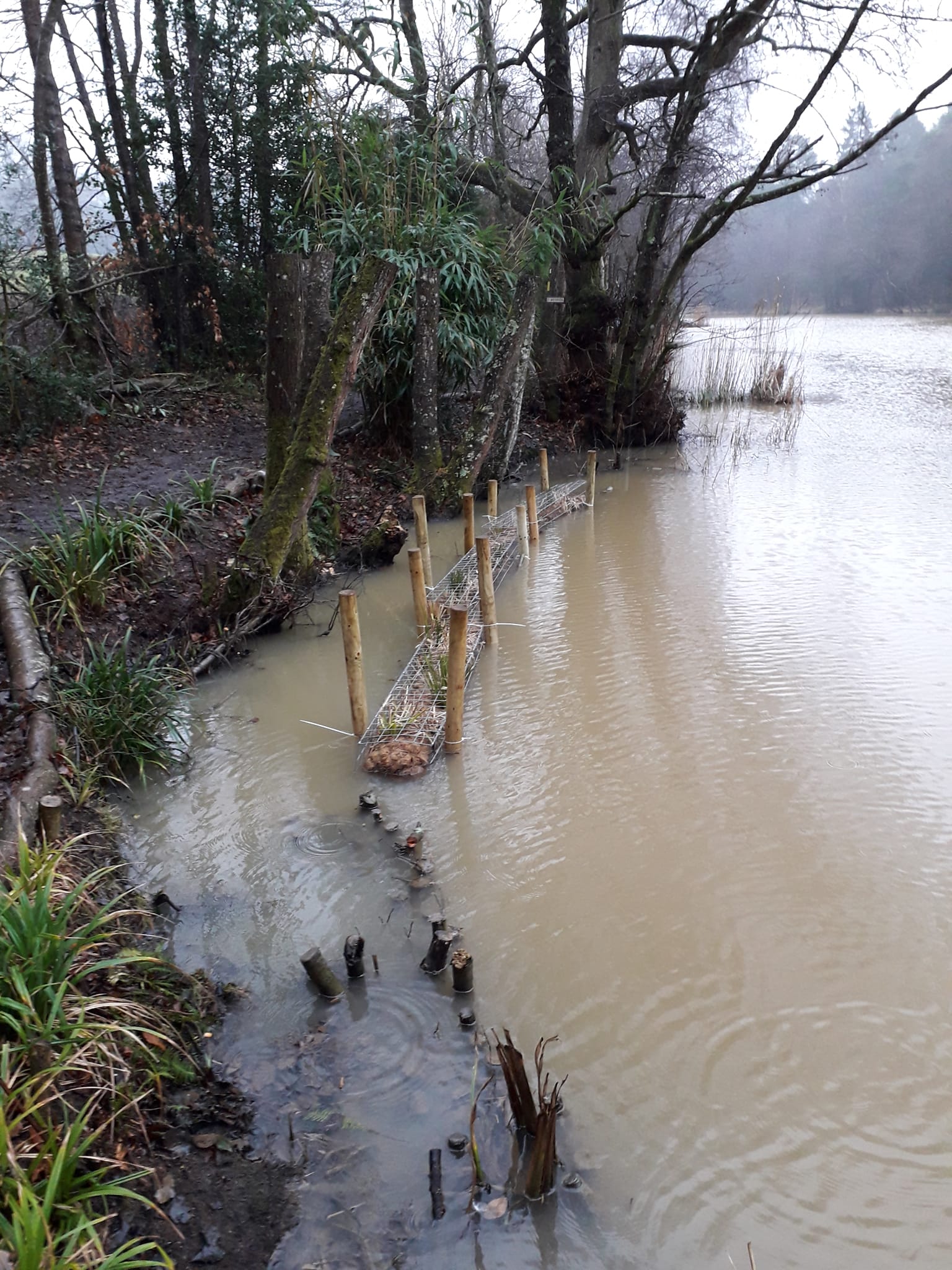 Roosthole work update - Horsham & District Angling Association