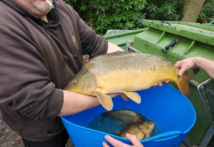 Foxhole netting and stock relocation/Repair's - Horsham & District ...